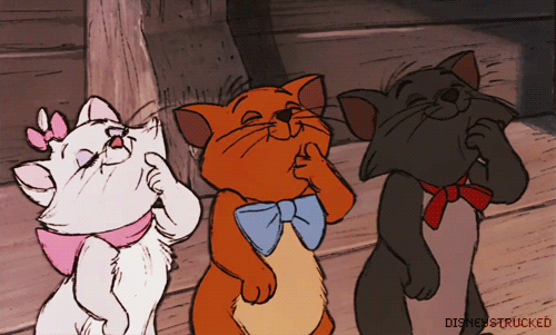 Kittens Knuffelen Gif Fluffy Vrijdag – Top 10 Meest Luie Kittens