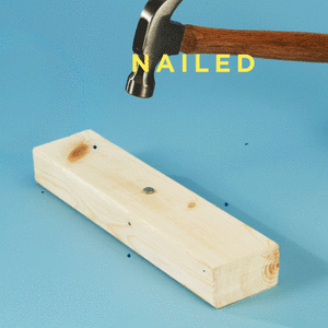 Jij Bent Geweldig Gif Kat