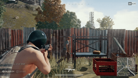Gaming Games Pubg GIF | GIFs.nl