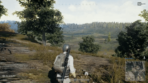 Gaming Games Pubg GIF | GIFs.nl
