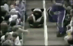 Mislukken Beer Mascotte GIF | GIFs.nl