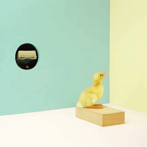 Geld Contant Betaald Worden GIF | GIFs.nl