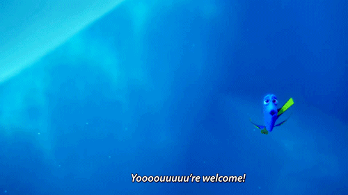 Dory Gif YARN | Flying? No, No, No New Information. | Finding Dory