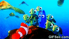 Finding Nemo GIF | GIFs.nl