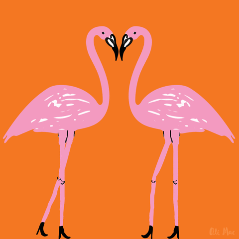 Dans Dansen Danser GIF | GIFs.nl