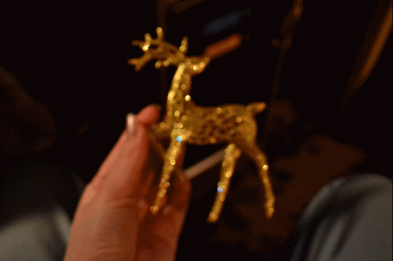 Briljante Geanimeerde Gif Een Paar Willekeurige LBP Gifs Die Ik Op