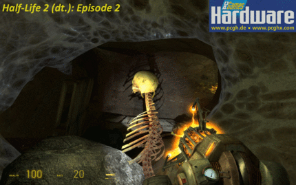 Half Life GIF | GIFs.nl