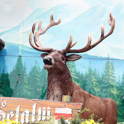 Verwirrt GIFs - Gemakkelijk GIFs Delen | GIFs.nl