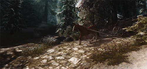 Skyrim The Elder Scrolls Vecht De Kracht GIF | GIFs.nl