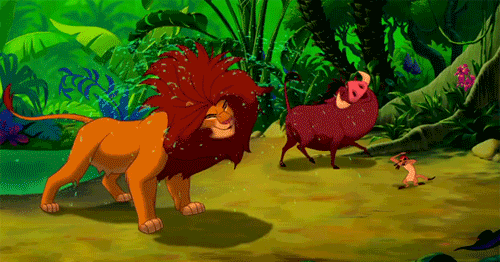 Animatie Simba Timon GIF | GIFs.nl