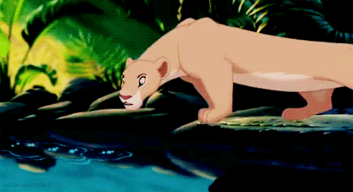 Lion King Gif Simba Nala Simba And Nala Clip Art (PNG Images) | Disney