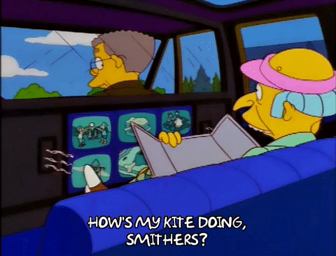 Auto Limo Baas GIF | GIFs.nl