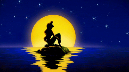 Zee Ariel Meermin GIF | GIFs.nl