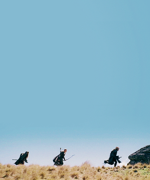 LOTR Lord Of The Rings GIF | GIFs.nl