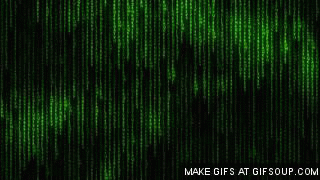 Matrix GIF | GIFs.nl