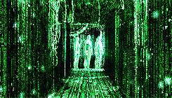 Matrix De Matrix Cyber GIF | GIFs.nl
