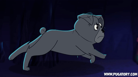 Hunde Rennen Gif