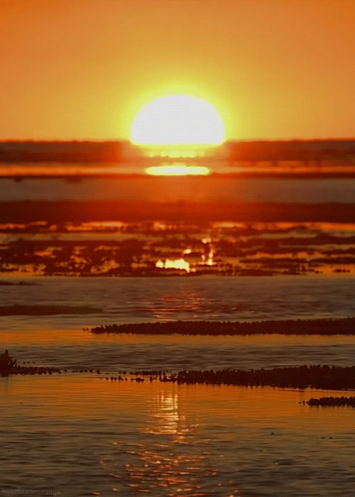 Zon Gif