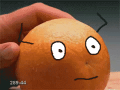 Oranje Fruit GIFs - Gemakkelijk GIFs Delen | GIFs.nl