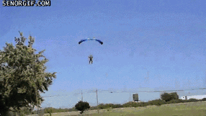 Sport Dieren Parachute GIF | GIFs.nl