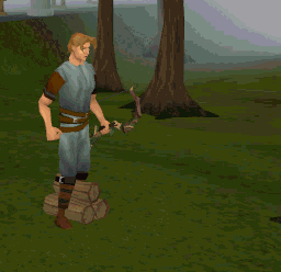 Opleiding Wiki Runescape GIF | GIFs.nl
