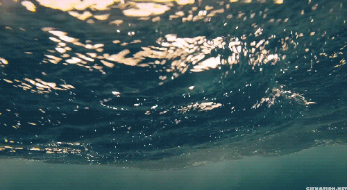 Water Strand Zomer GIF | GIFs.nl