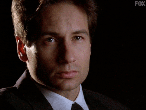 Xfiles David Duchovny The X Files GIF | GIFs.nl