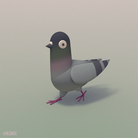 Duiven Vrijlaten Gif