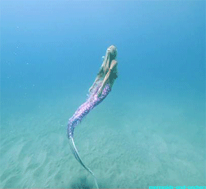 Zwemmende Zeemeermin Gif Zwemm GIF Zwemm Zwemmen Grappig Discover